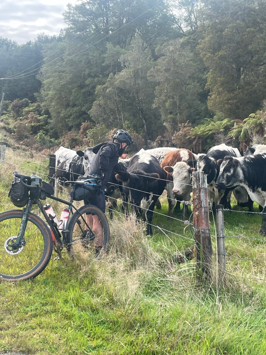 Tiki Tour – Day 10 – Spokes And Spoons